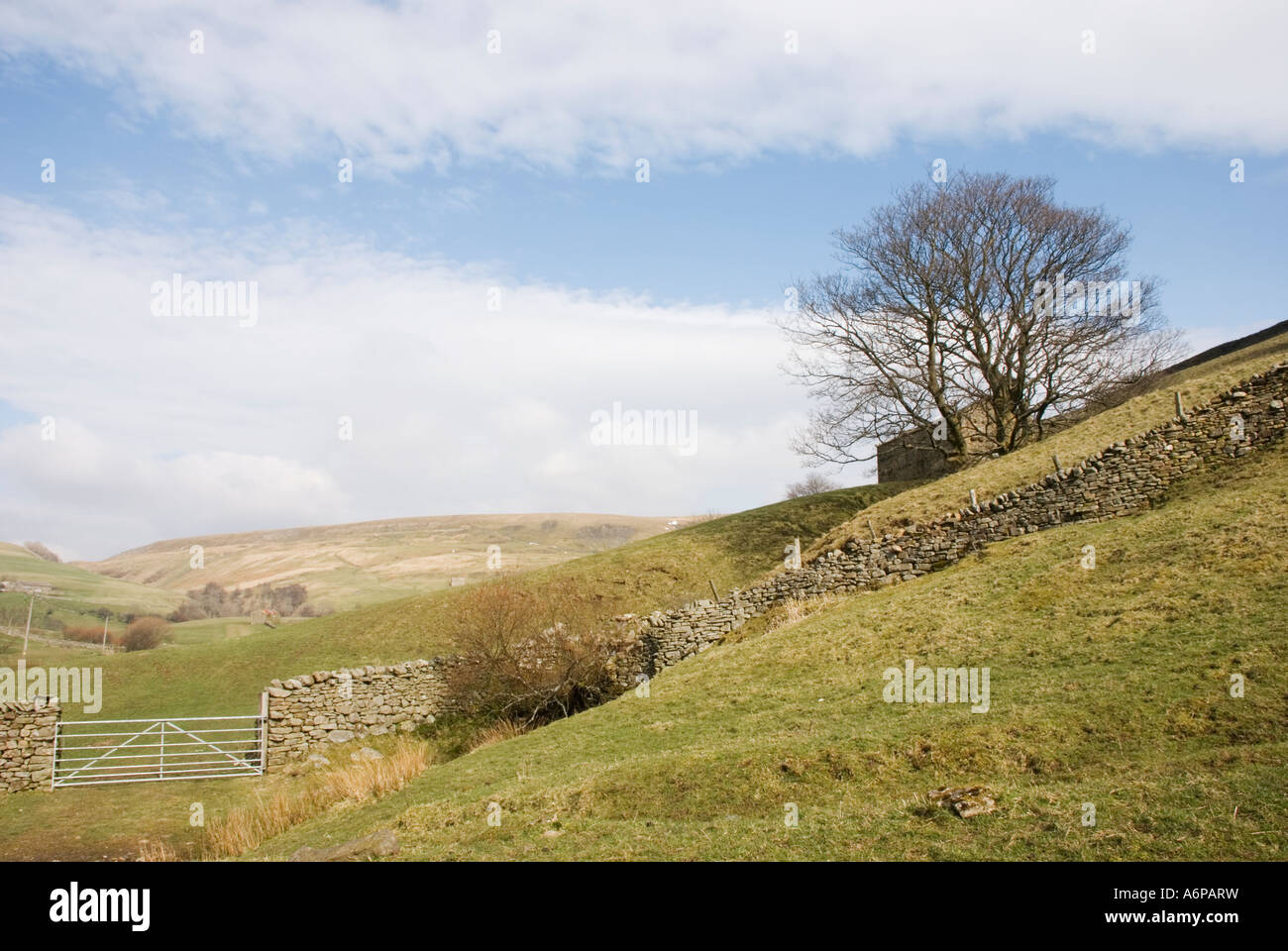 Barn and stone wall in Keld, Swaledale, Yorkshire Stock Photo - Alamy