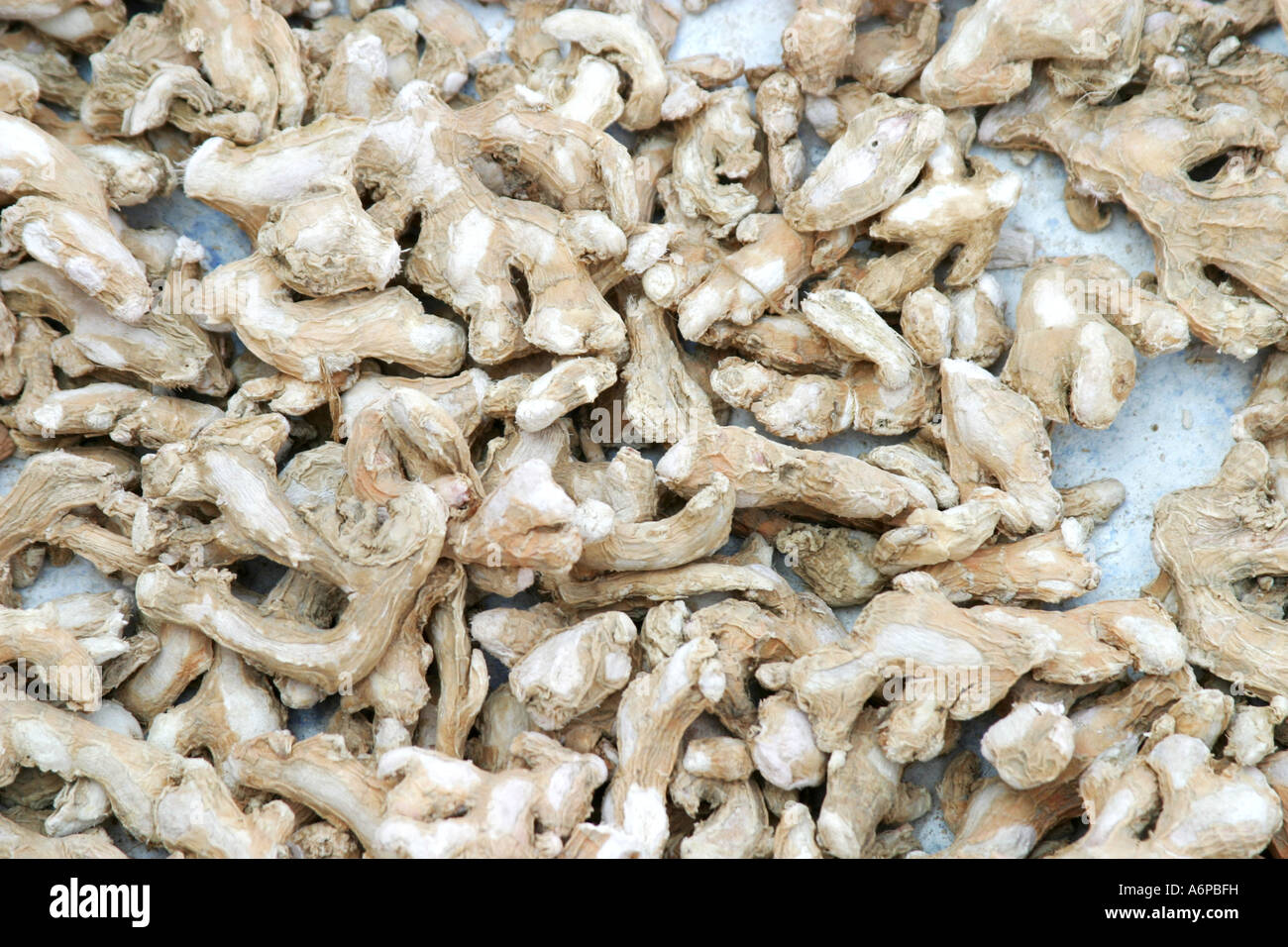 Drying ginger hi-res stock photography and images - Alamy