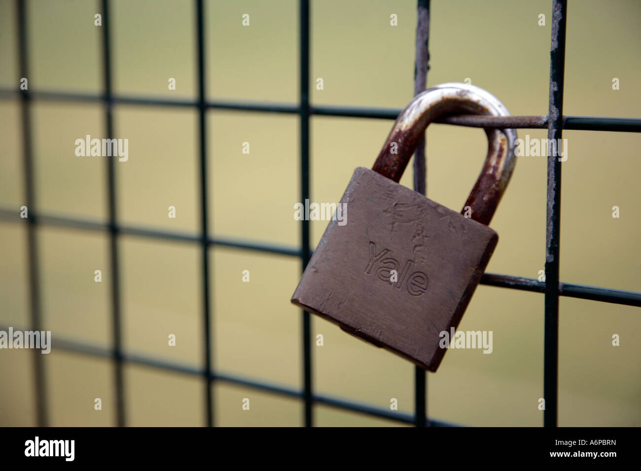 Padlock on chain link fencing Stock Photo - Alamy