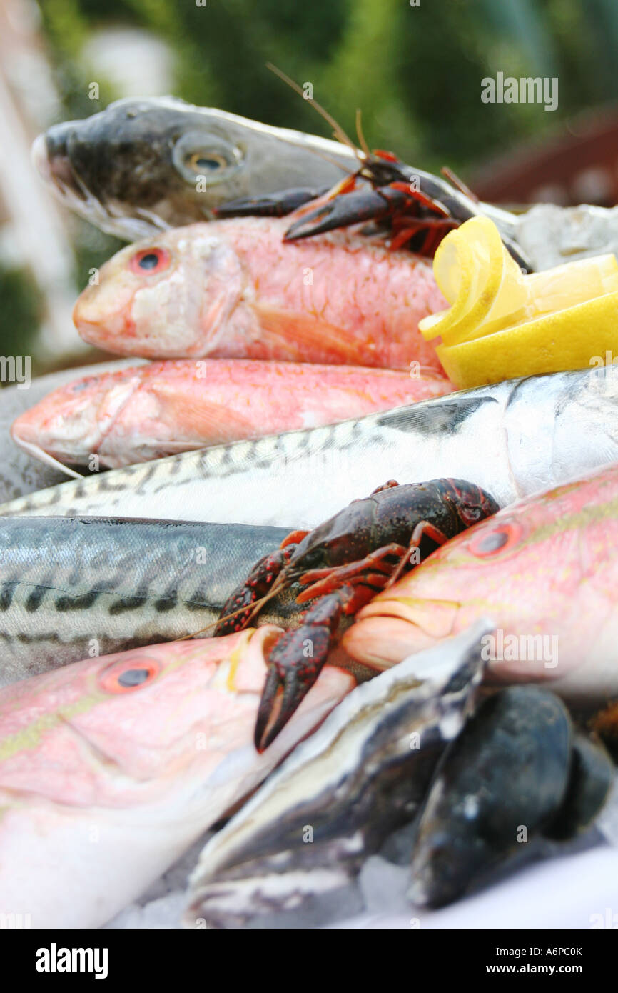 Fresh raw fish platter Stock Photo - Alamy