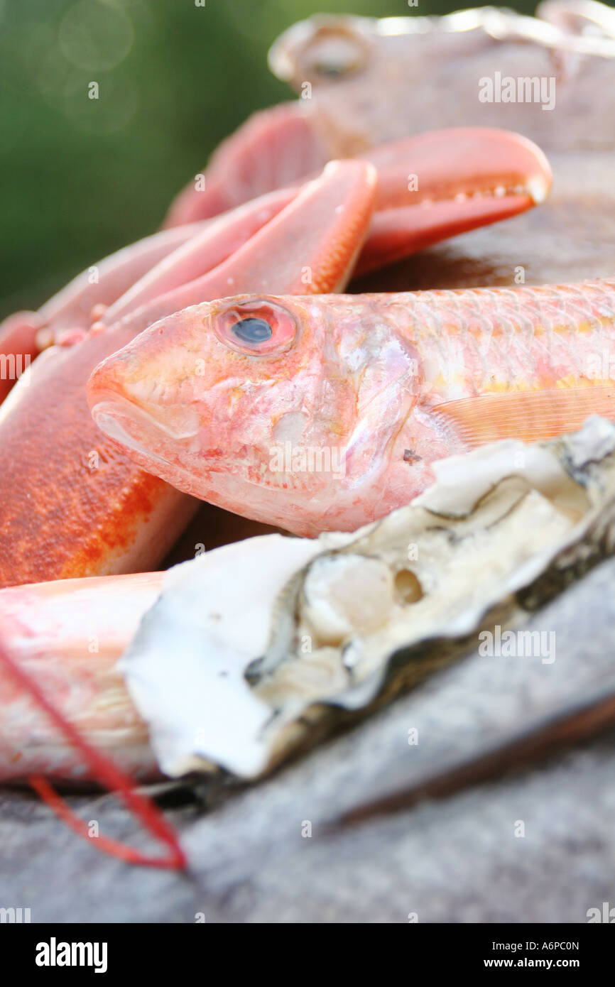 Fish head assortment hi-res stock photography and images - Alamy