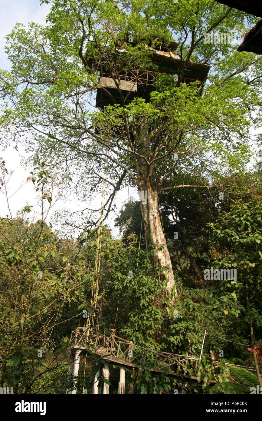 Tree house for tourists in Kerala ,India Stock Photo - Alamy