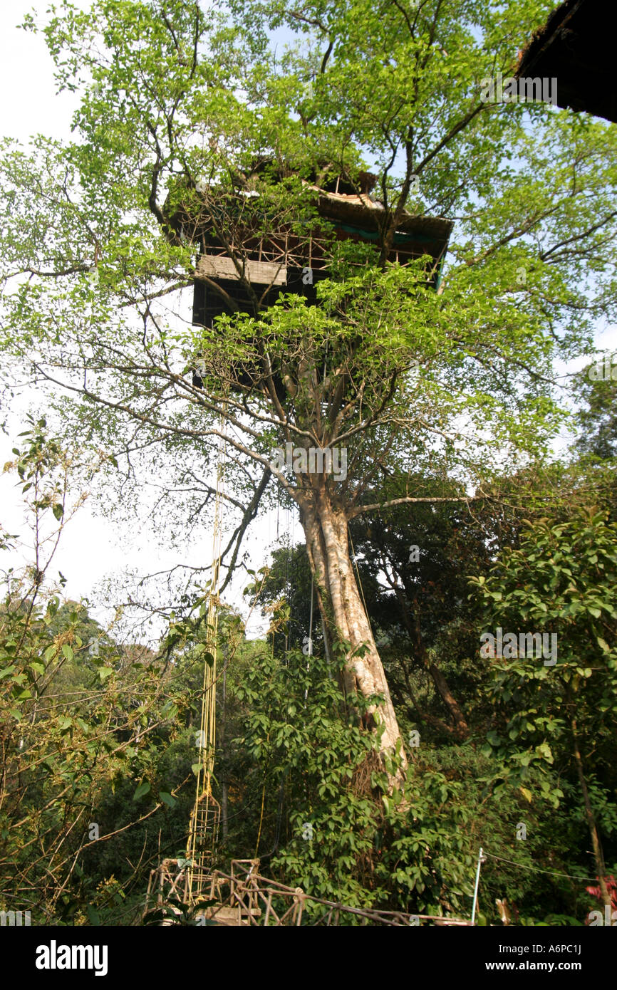 Tree house for tourists in Kerala ,India Stock Photo - Alamy