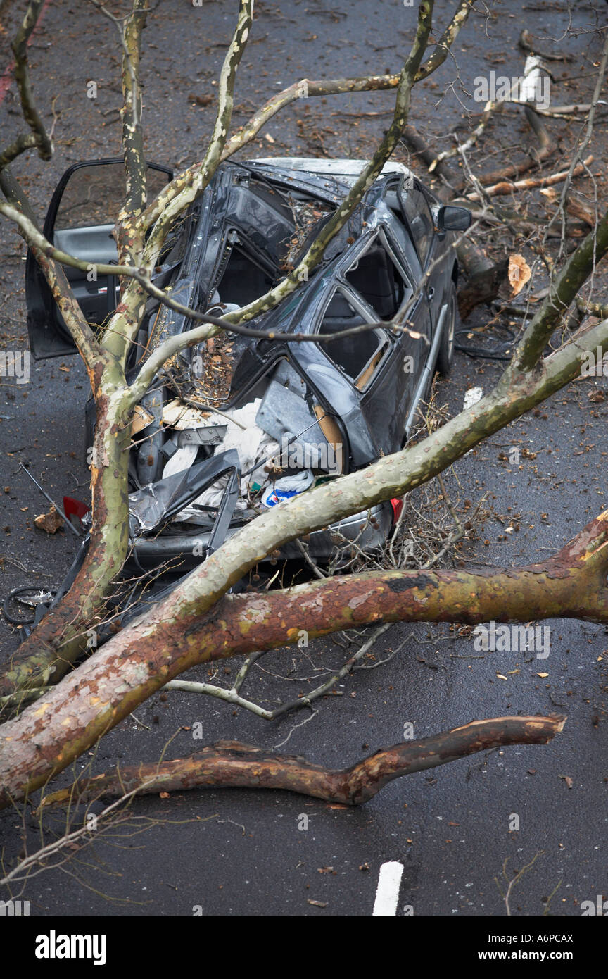 Tree uproot in storm hi-res stock photography and images - Alamy