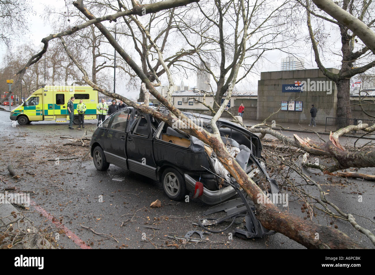 Car hit by tree during storm in London UK 2006 the Driver escaped ... Car hit by tree during storm in London UK 2006 the Driver escaped ...