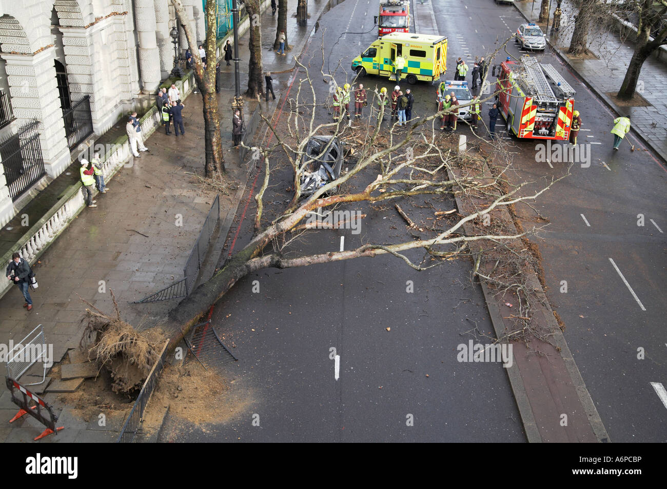 Car hit by tree during storm in London UK 2006 the Driver escaped ... Car hit by tree during storm in London UK 2006 the Driver escaped ...