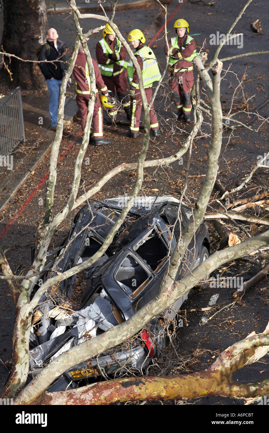 Car hit by tree during storm in London UK 2006 the Driver escaped ... Car hit by tree during storm in London UK 2006 the Driver escaped ...