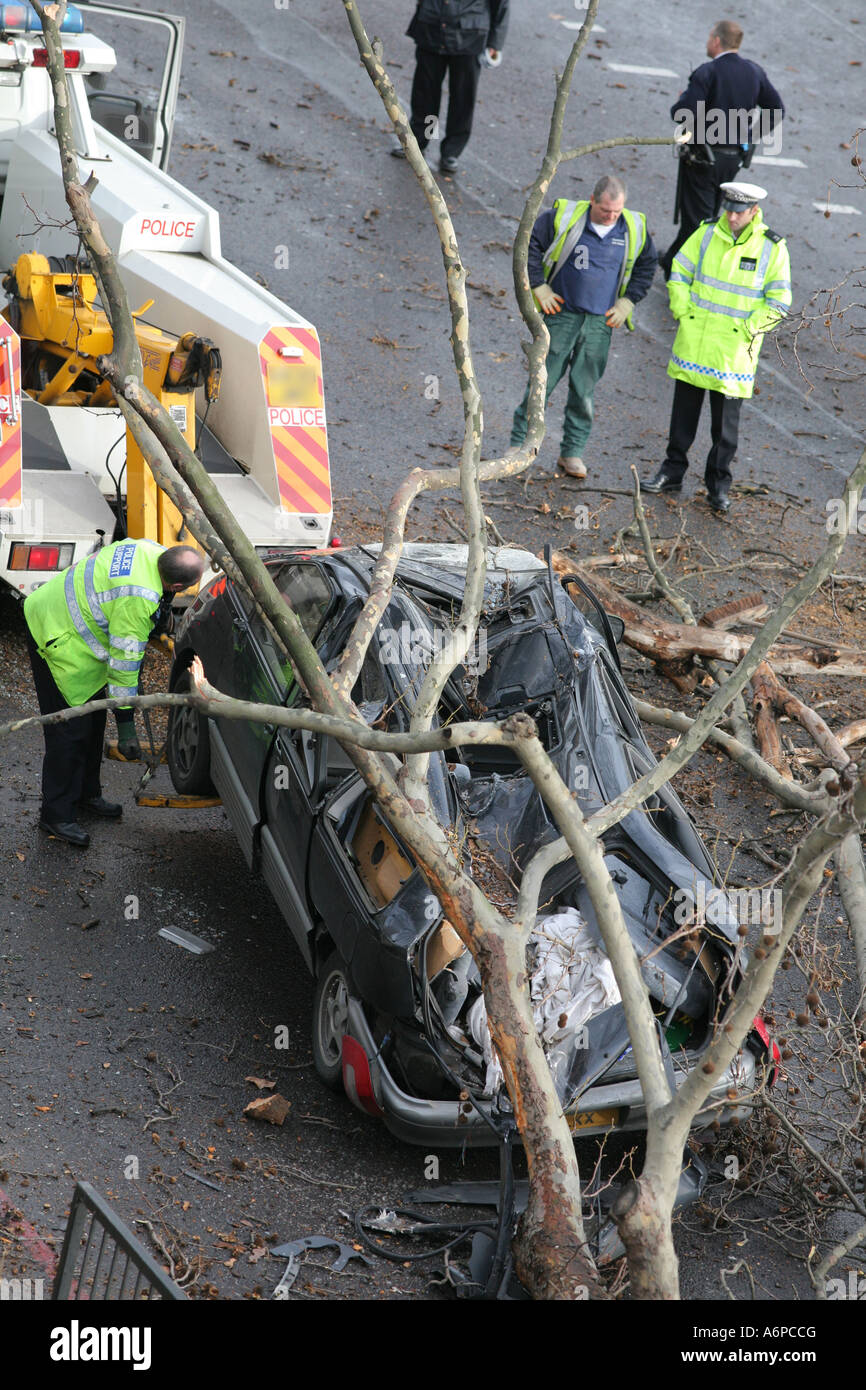 Car crash tree hi-res stock photography and images - Alamy