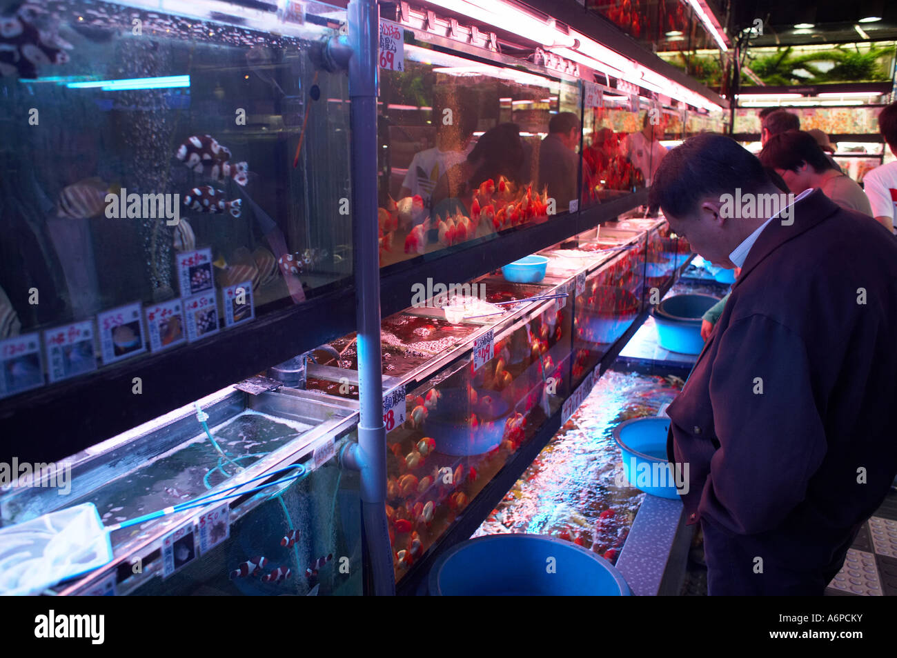 goldfish aquaria shop in Hong Kong Stock Photo - Alamy
