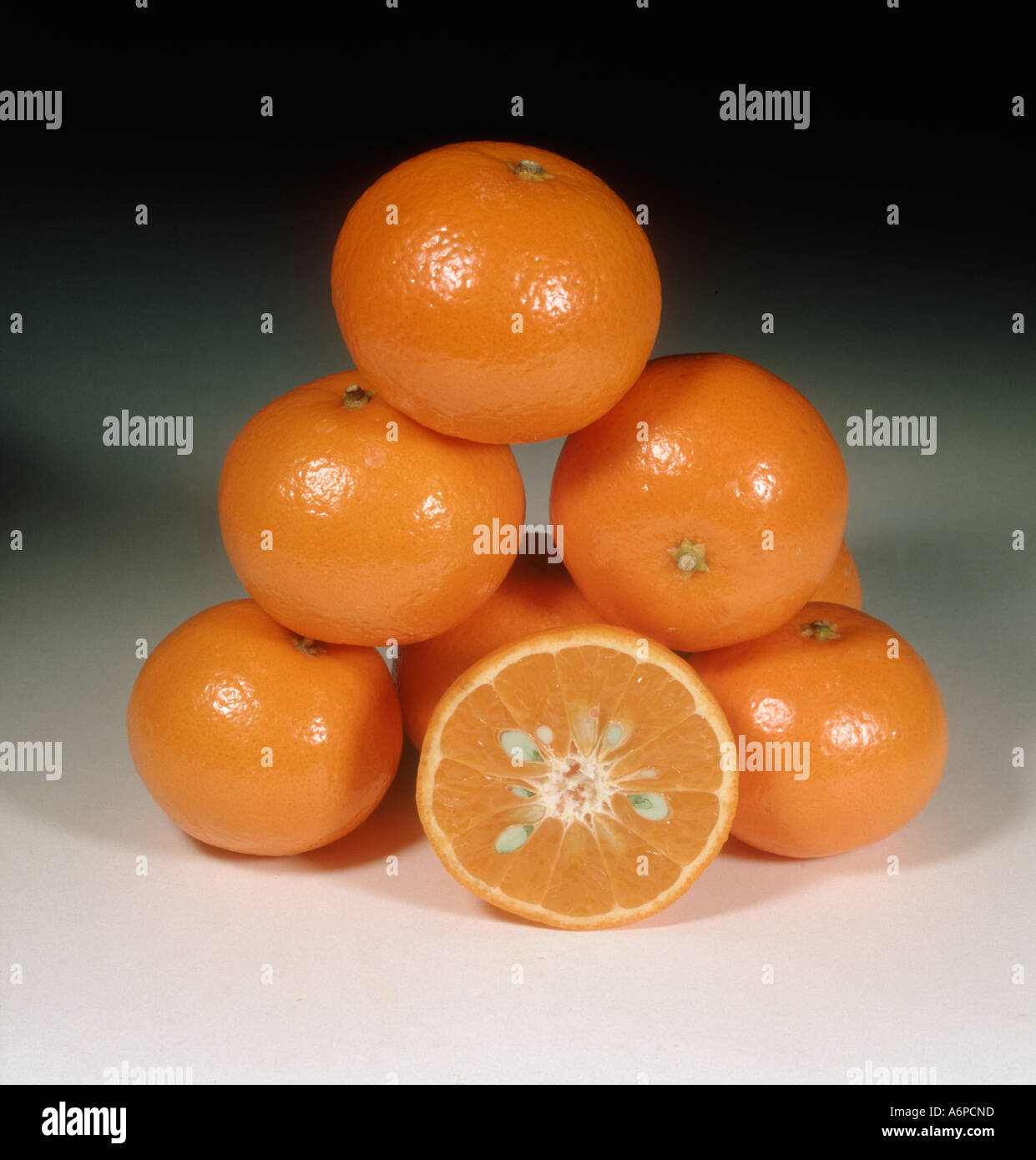 Group of mandarin fruit sectioned and whole variety Fairchild Stock ...