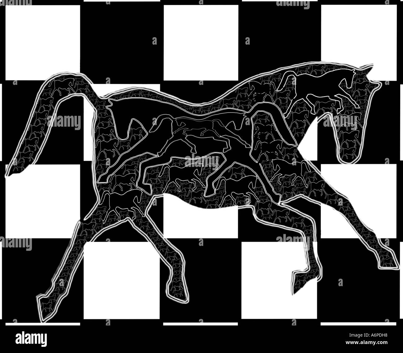 Horses patterns hi-res stock photography and images - Alamy