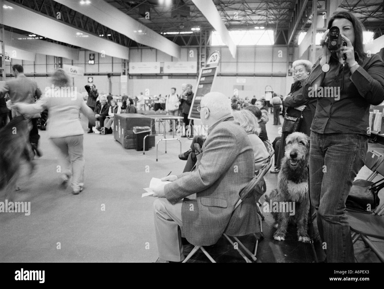 Filming dog Black and White Stock Photos & Images - Alamy