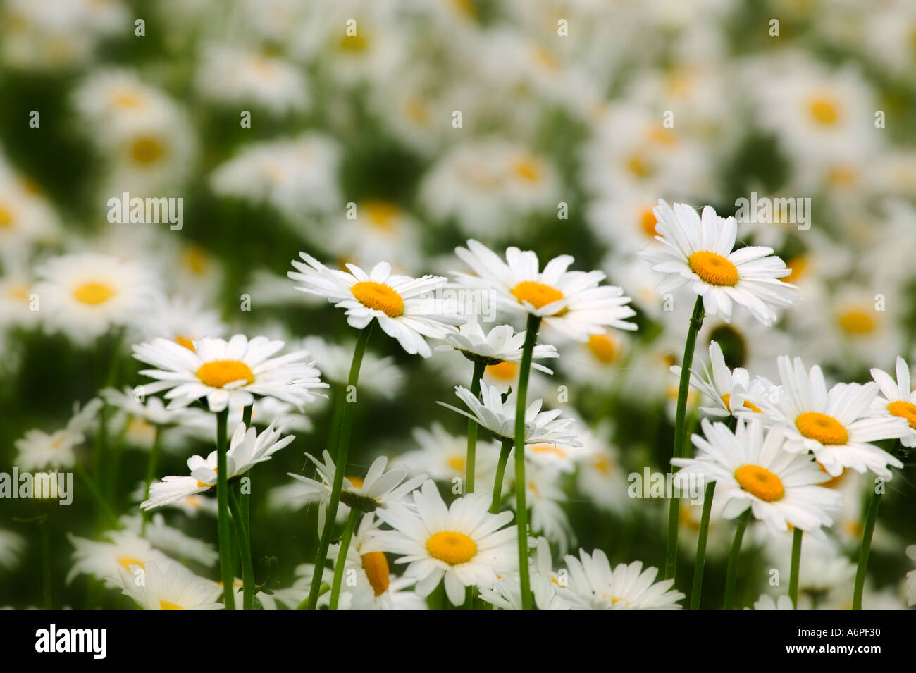 Perkiomen hi-res stock photography and images - Alamy