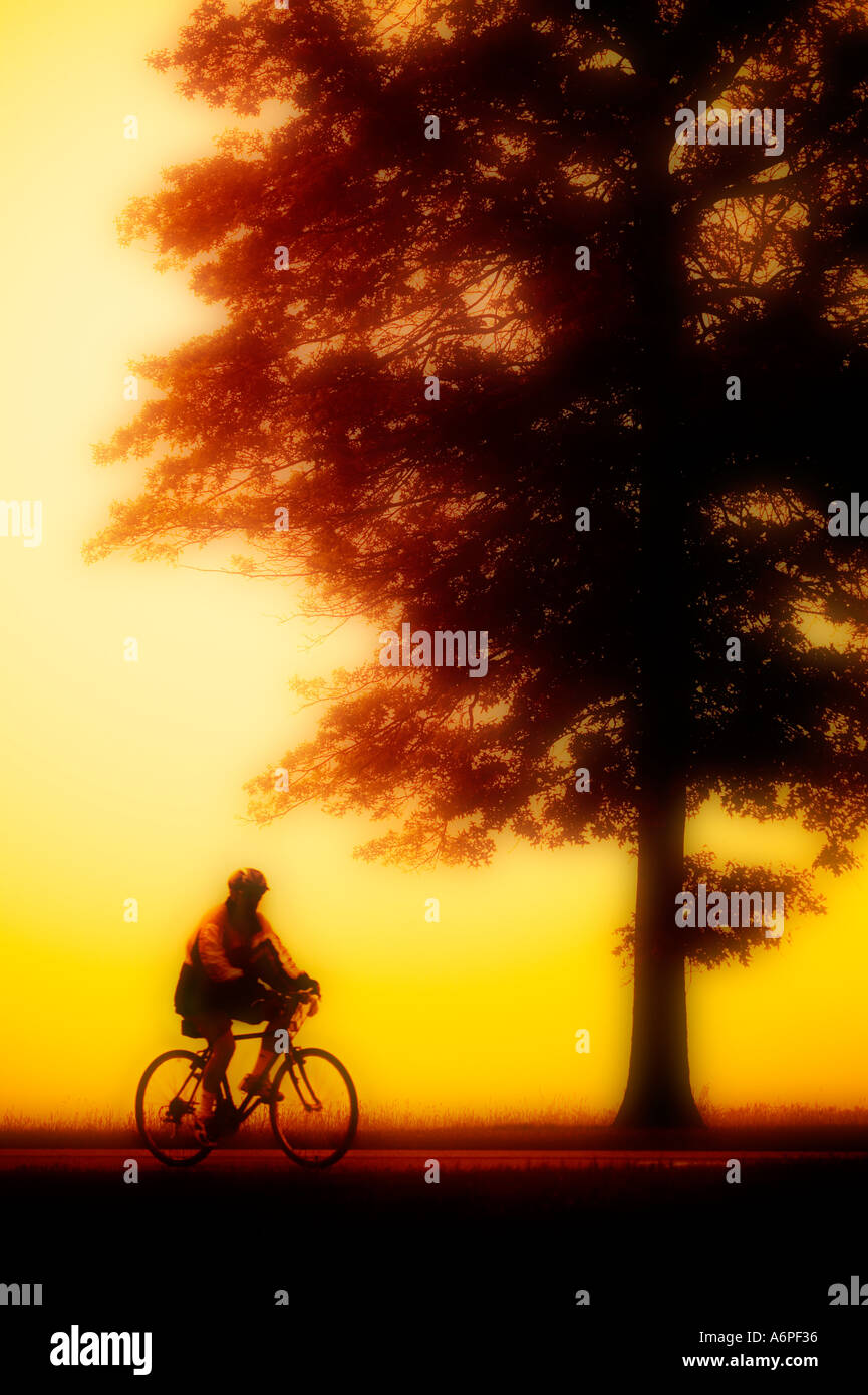 A bicyclist rides a trail in Valley Forge National Historic Park in ...