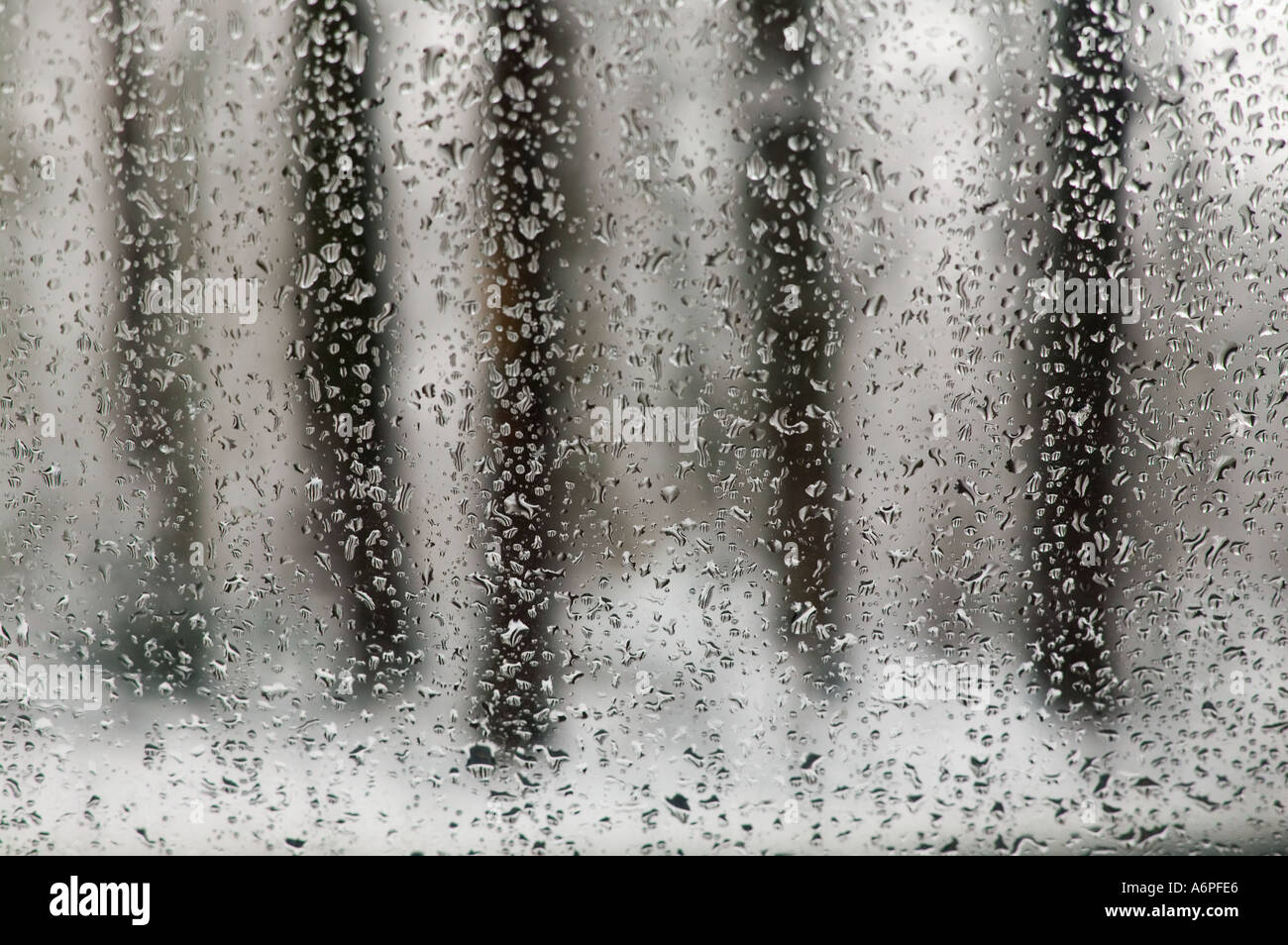 Trees viewed through a rain drop coated window Stock Photo - Alamy