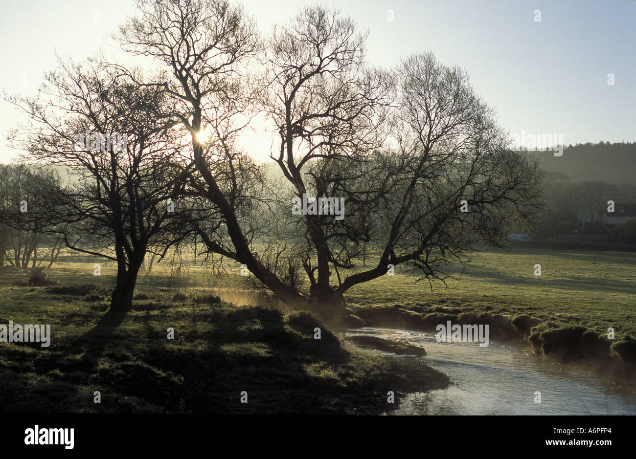 The river Otter near Monkton in the Blackdown Hills AONB East Devon ...
