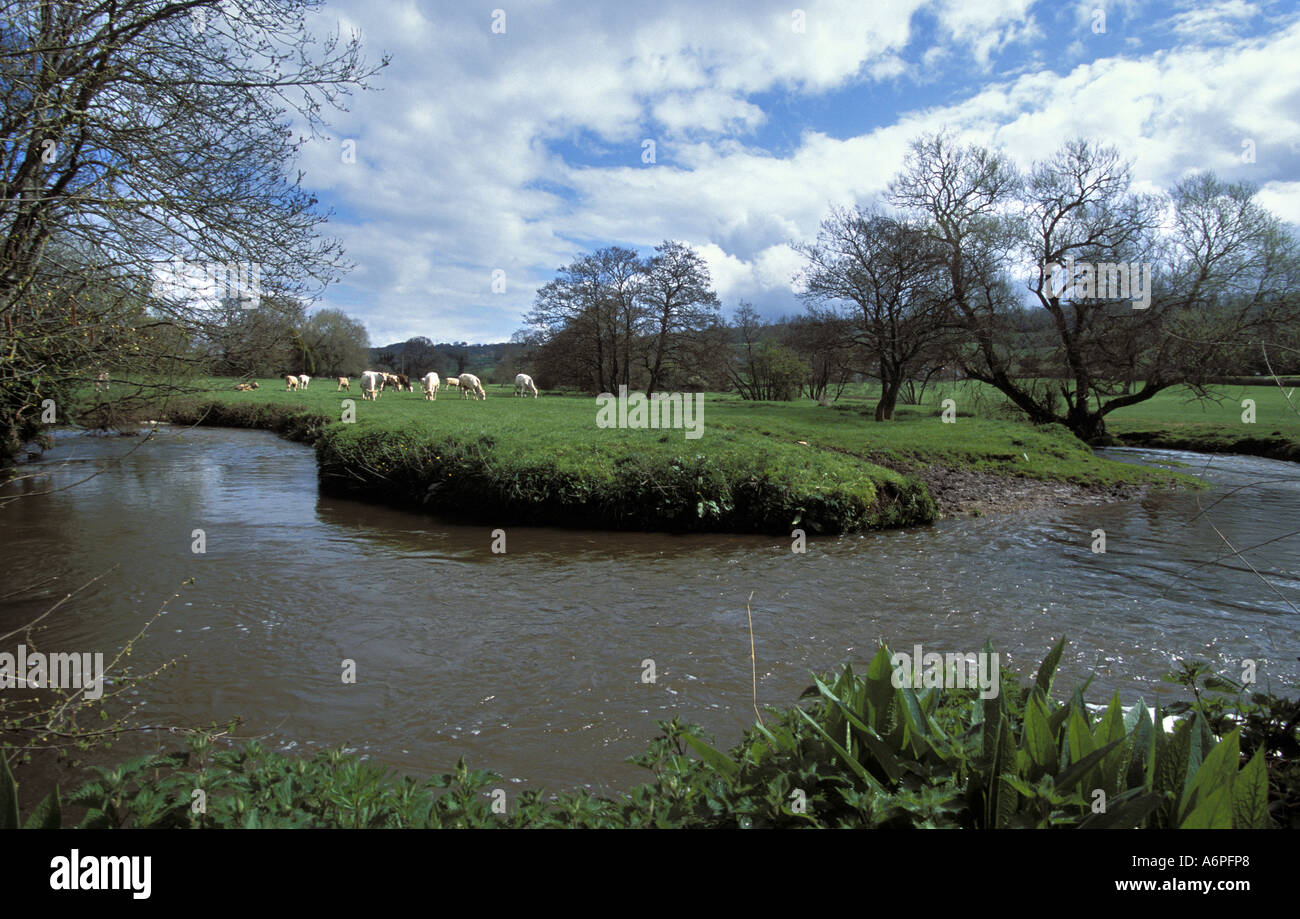The river Otter near Monkton in the Blackdown Hills AONB East Devon ...