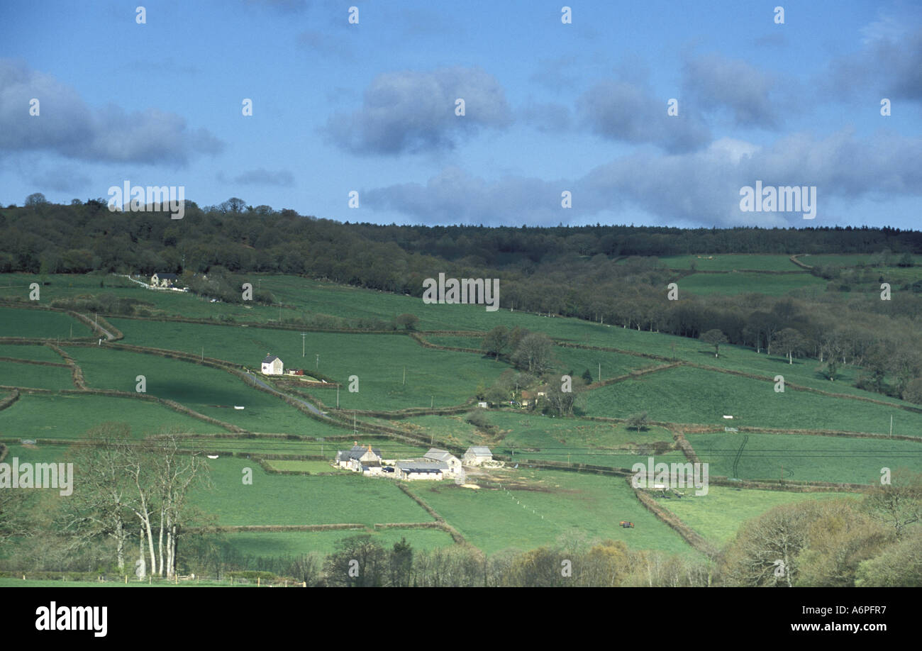 Blackdown hills hedge hi-res stock photography and images - Alamy