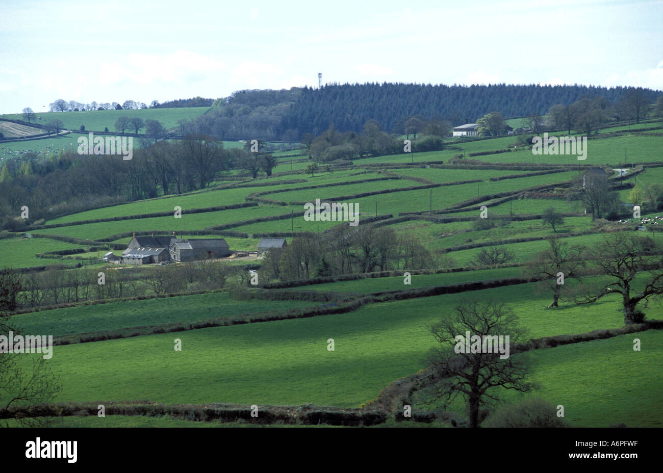 Patchwork field pattern in the Blackdown Hills AONB near ...