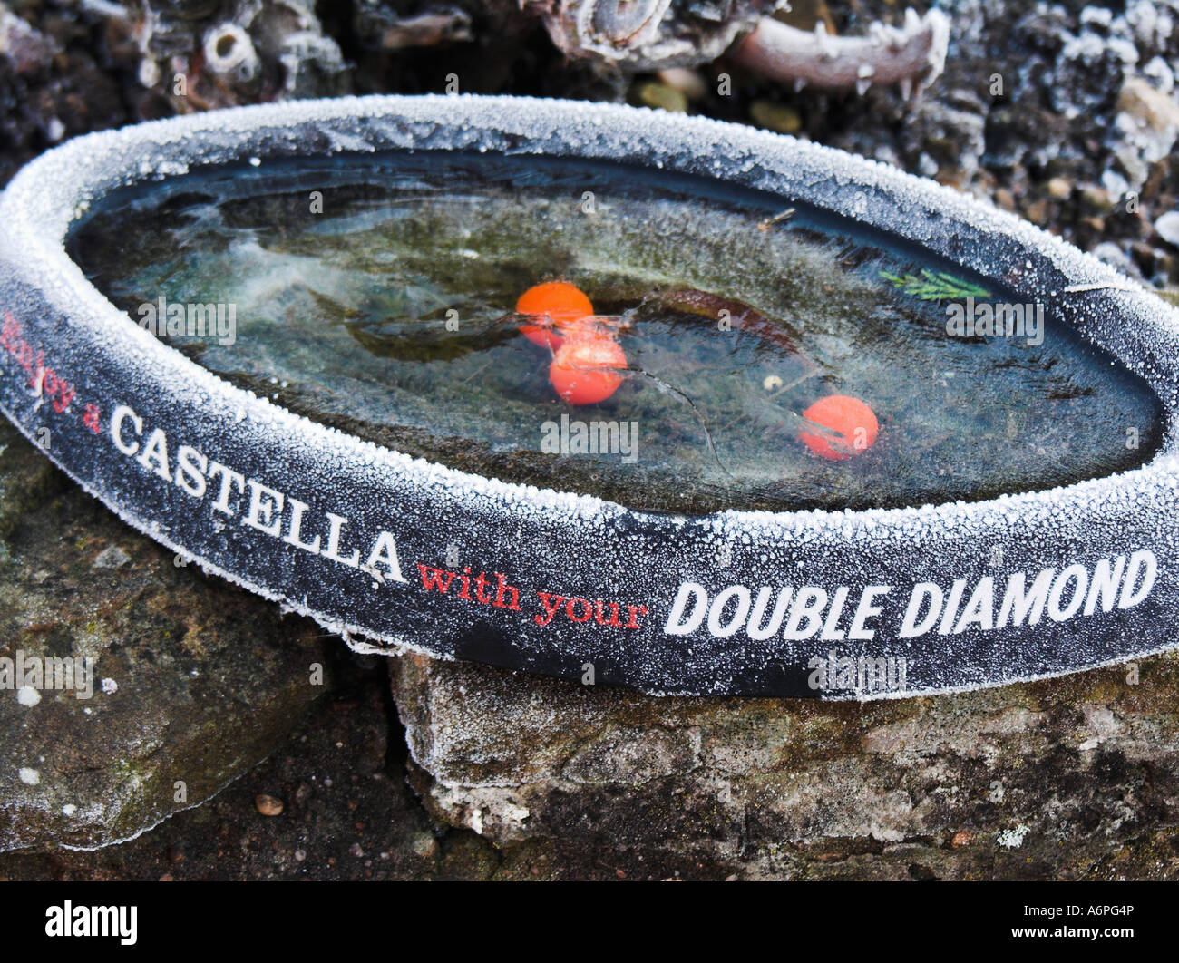 Cold one for me 2007 Stock Photo - Alamy