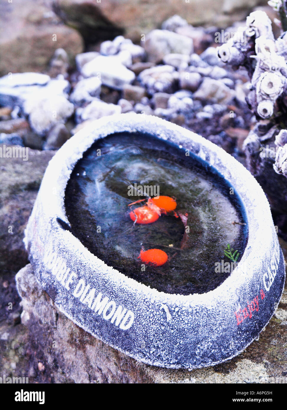 The ice has gone hi-res stock photography and images - Alamy