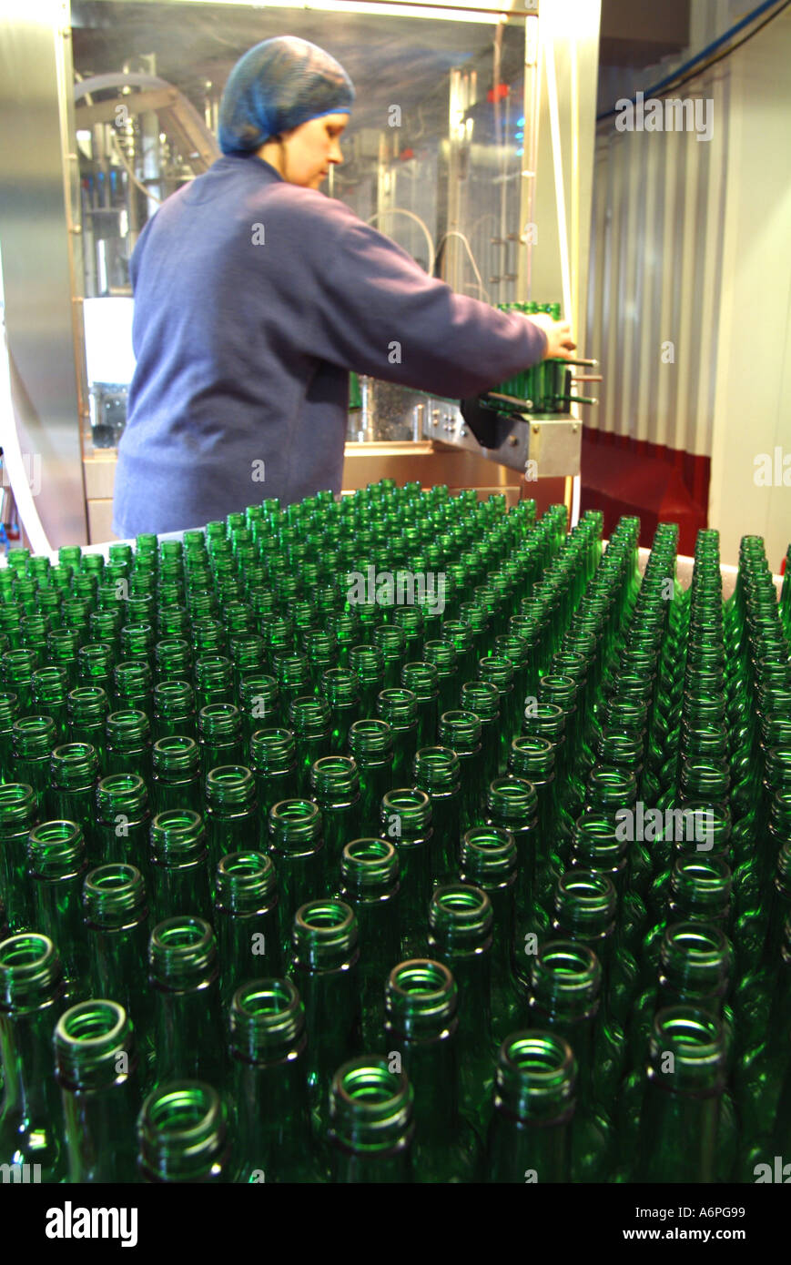 Woman worker bottling drinks with rows of glass bottles in front Stock ...