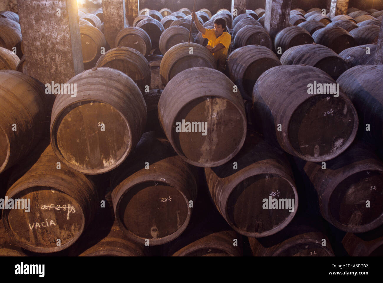 winemaker taking sample from maturing vats in a winery in Spain Stock ...