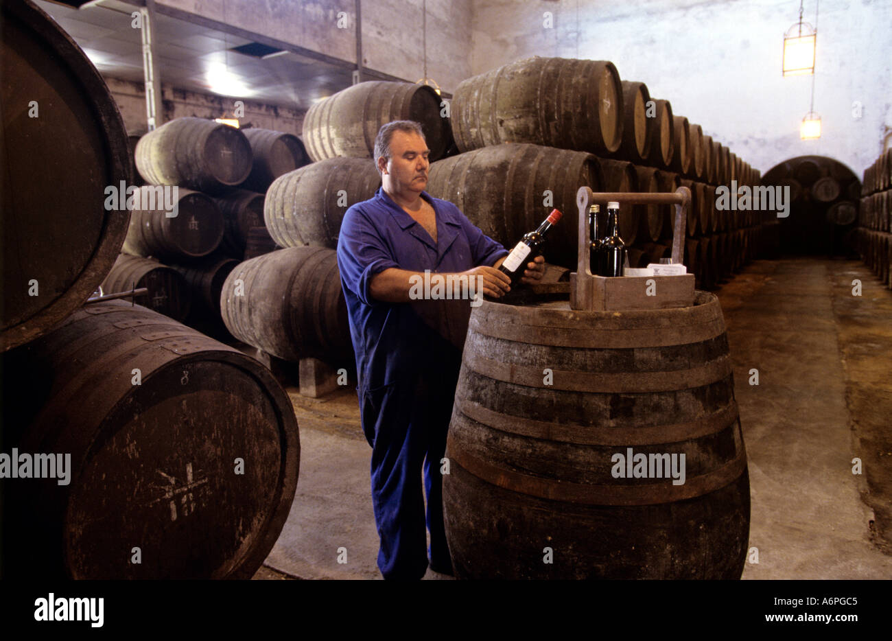 Winery worker test hi-res stock photography and images - Alamy