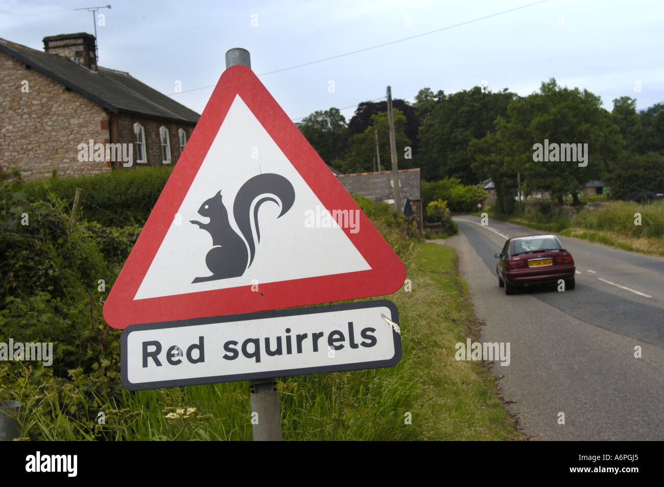 Squirrel road sign hi-res stock photography and images - Alamy