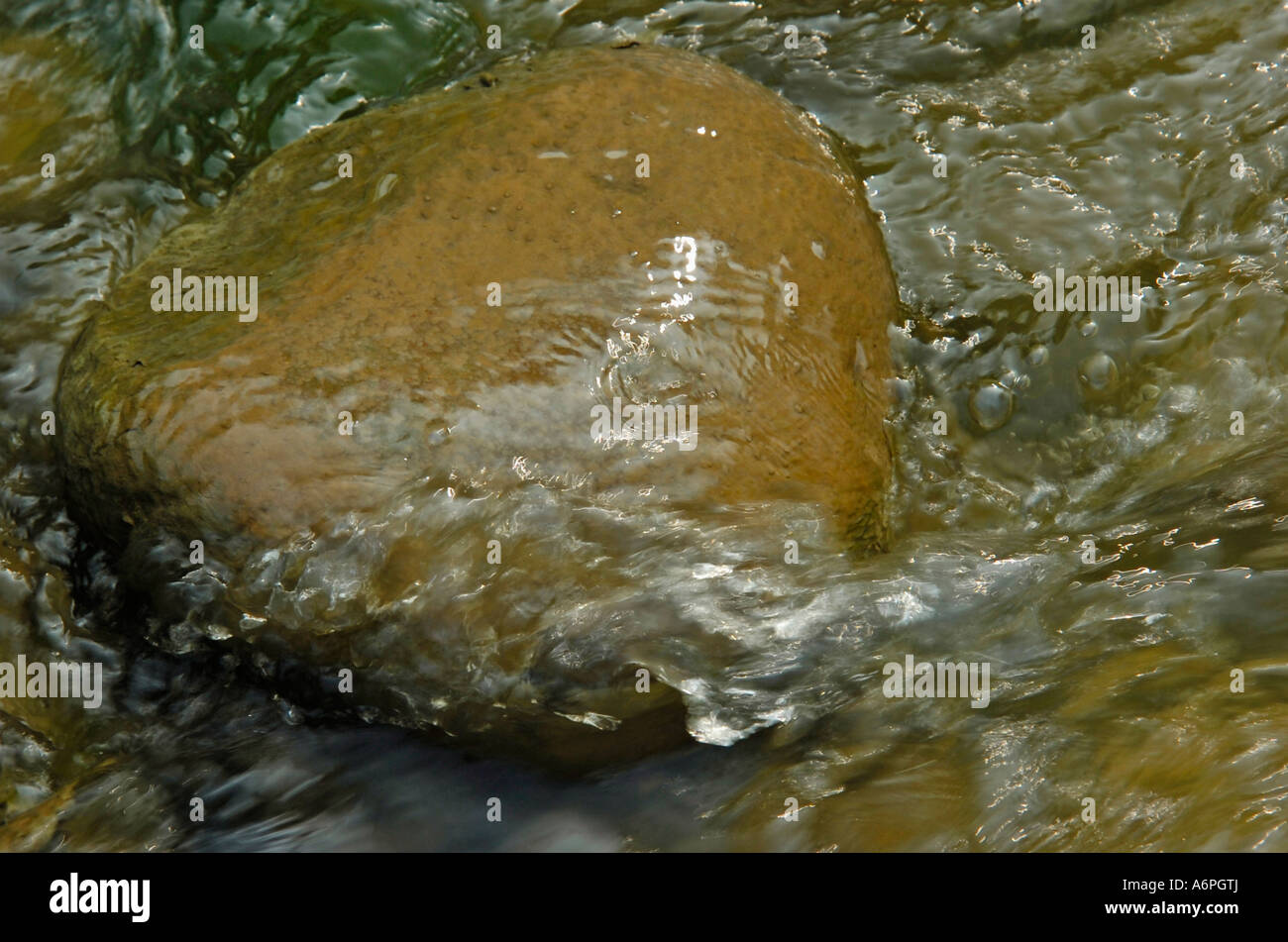 Stream and stone Stock Photo - Alamy