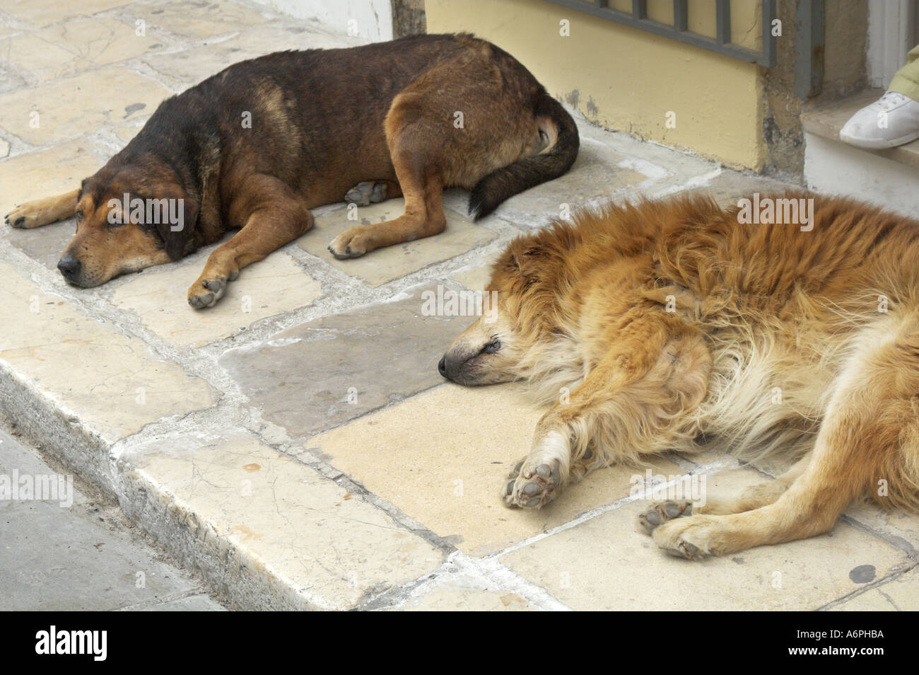 Non interference hi-res stock photography and images - Alamy