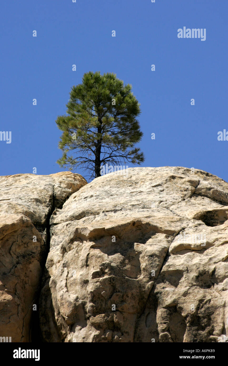 El morro inscription rock hi-res stock photography and images - Alamy