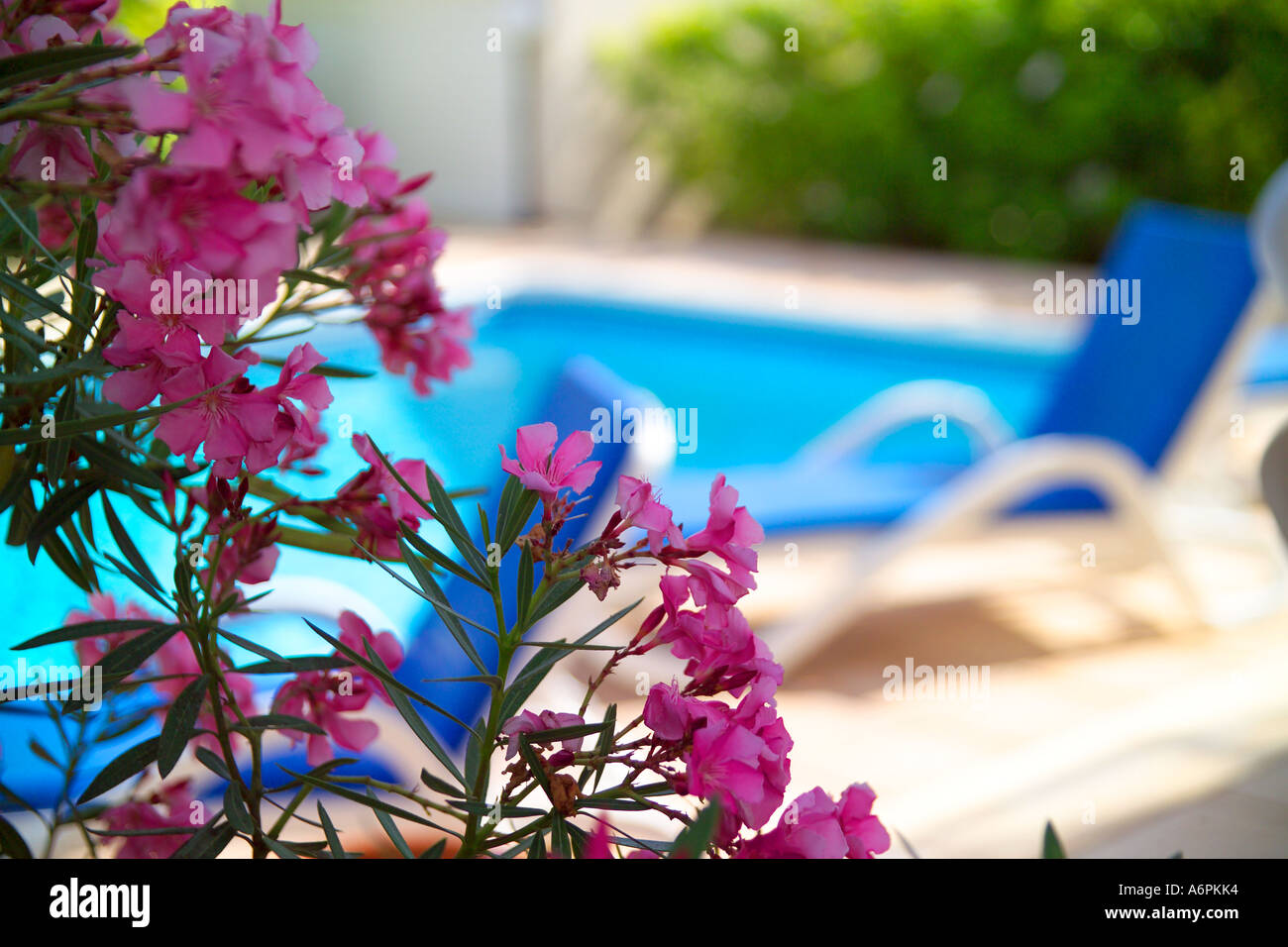 TWO SUNBED SLIGHTLY OUT OF FOCUS BESIDE A SWIMMING POOL IN CYPRUS WITH ...