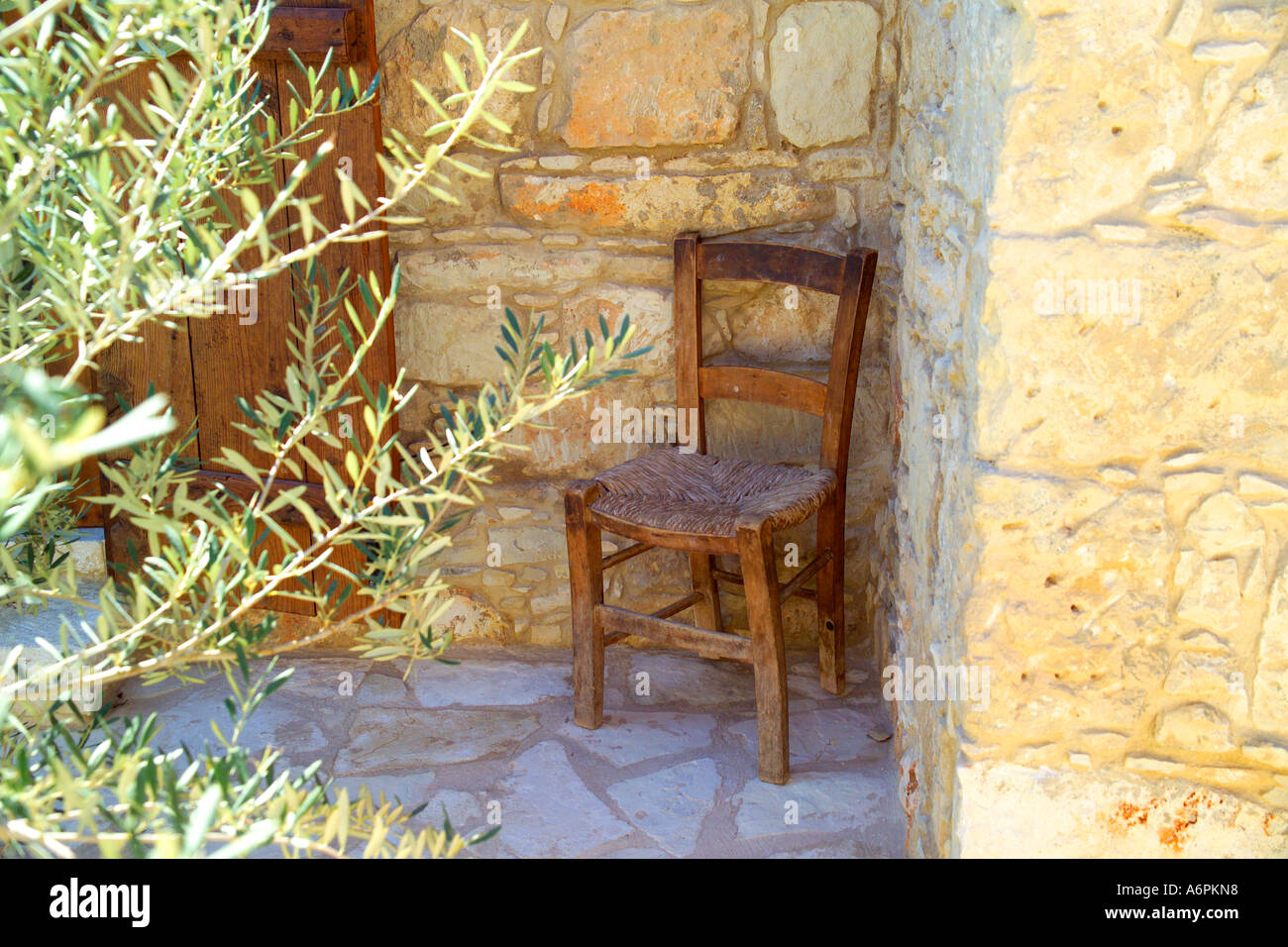 OLD WOODEN CHAIR WITH OLIVE TREE IN FOREGROUND TAKEN IN CYPRUS AGAINST ...
