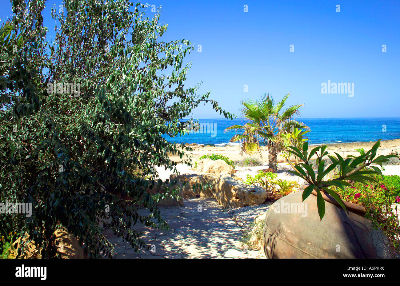 SCENIC VIEW OF CYPRUS WITH SEA BEACH TREES VIEW BLUE SKY Stock Photo ...