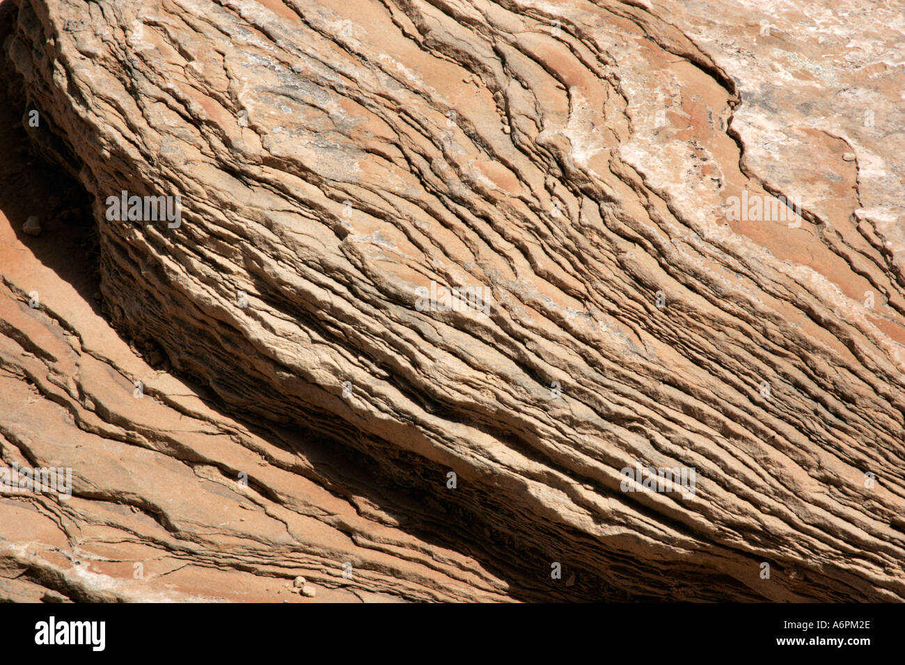 Layered sandstone, Elevation 4800 feet Utah USA Stock Photo - Alamy