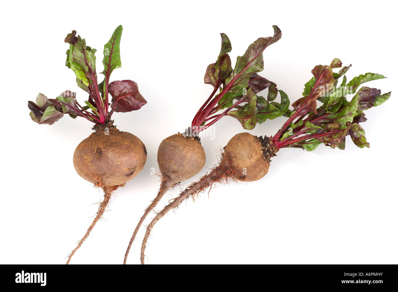 Beetroots on white background Stock Photo - Alamy