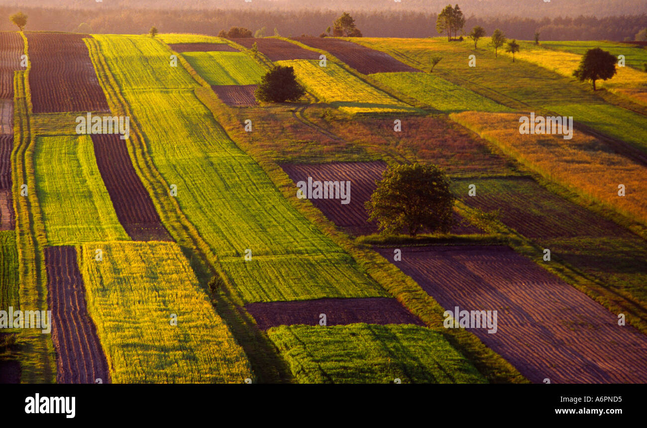 Polish country, Organic Farm Stock Photo - Alamy