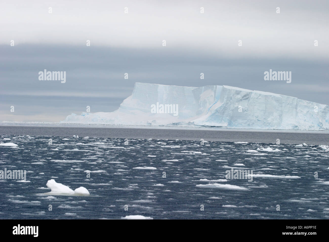 Tabular Iceberg, Atka Bay, Weddell Sea, Antarctica Stock Photo - Alamy