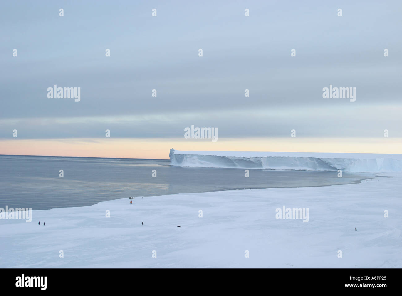 Ice Shelf, Atka Bay, Weddell Sea, Antarctica Stock Photo - Alamy