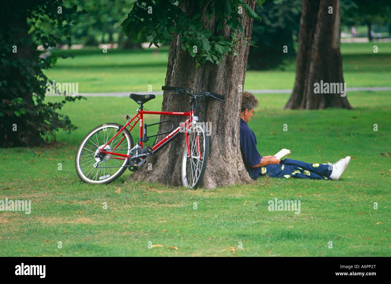 Man With Bicycle Resting Against A tree Hyde park London UK Europe ...