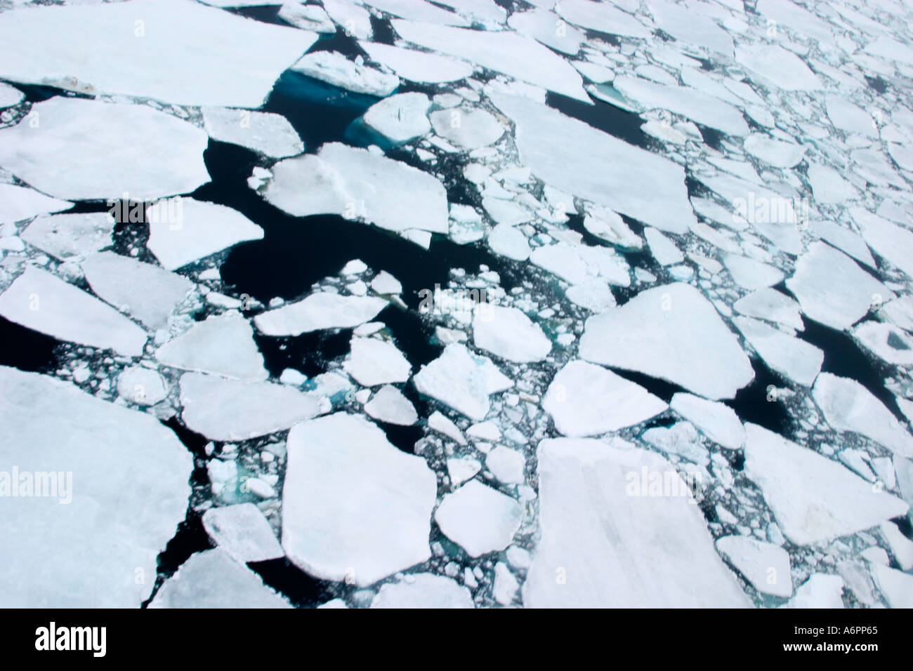 Pancake Ice, Weddell Sea, Antarctica Stock Photo - Alamy