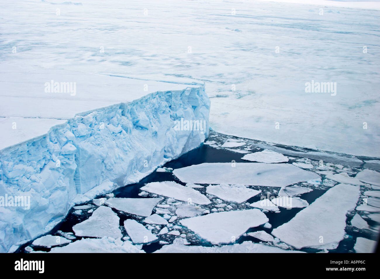 Pancake Ice and Tabular Iceberg, Weddell Sea, Antarctic Peninsula Stock ...