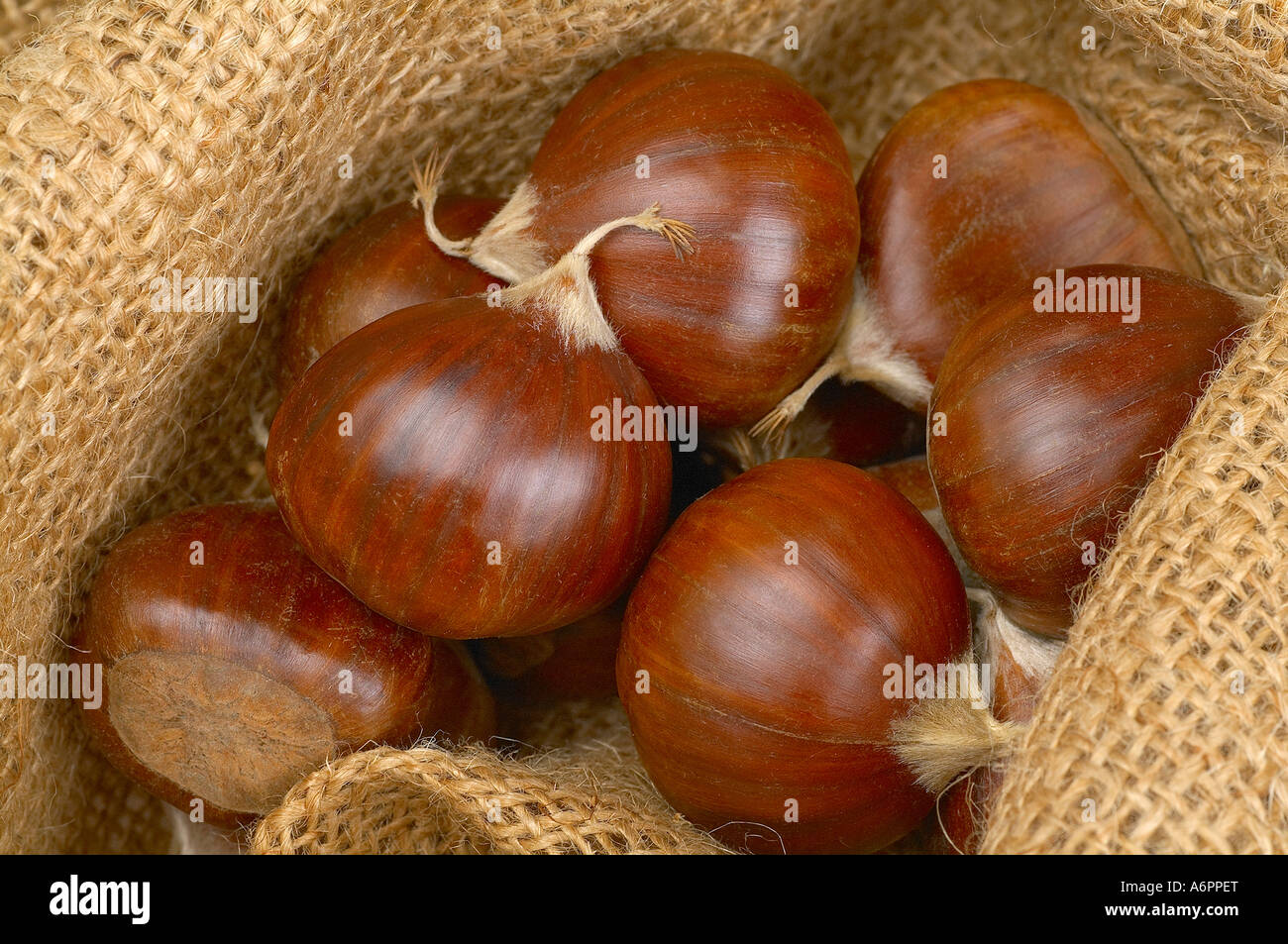 Chestnuts in a sack Stock Photo - Alamy
