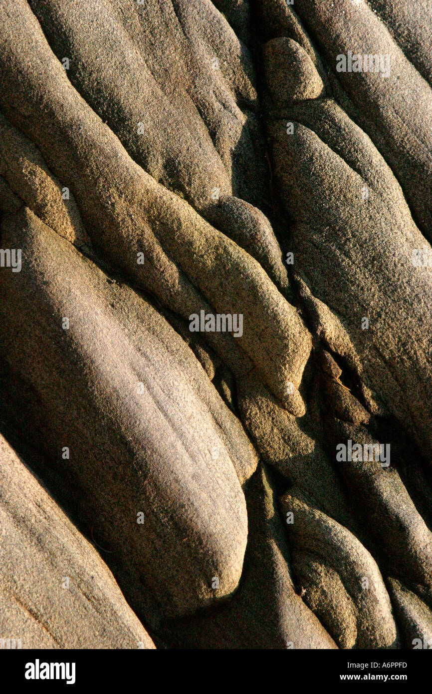 Chuckanut Sandstone, Larrabee State Park, Samish Bay, Washington, USA ...
