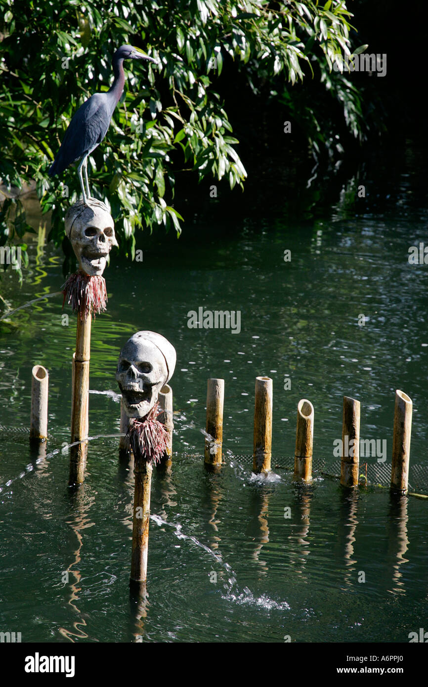 Indian totem decoration skeleton scalp skull Magic Kingdom at Walt ...
