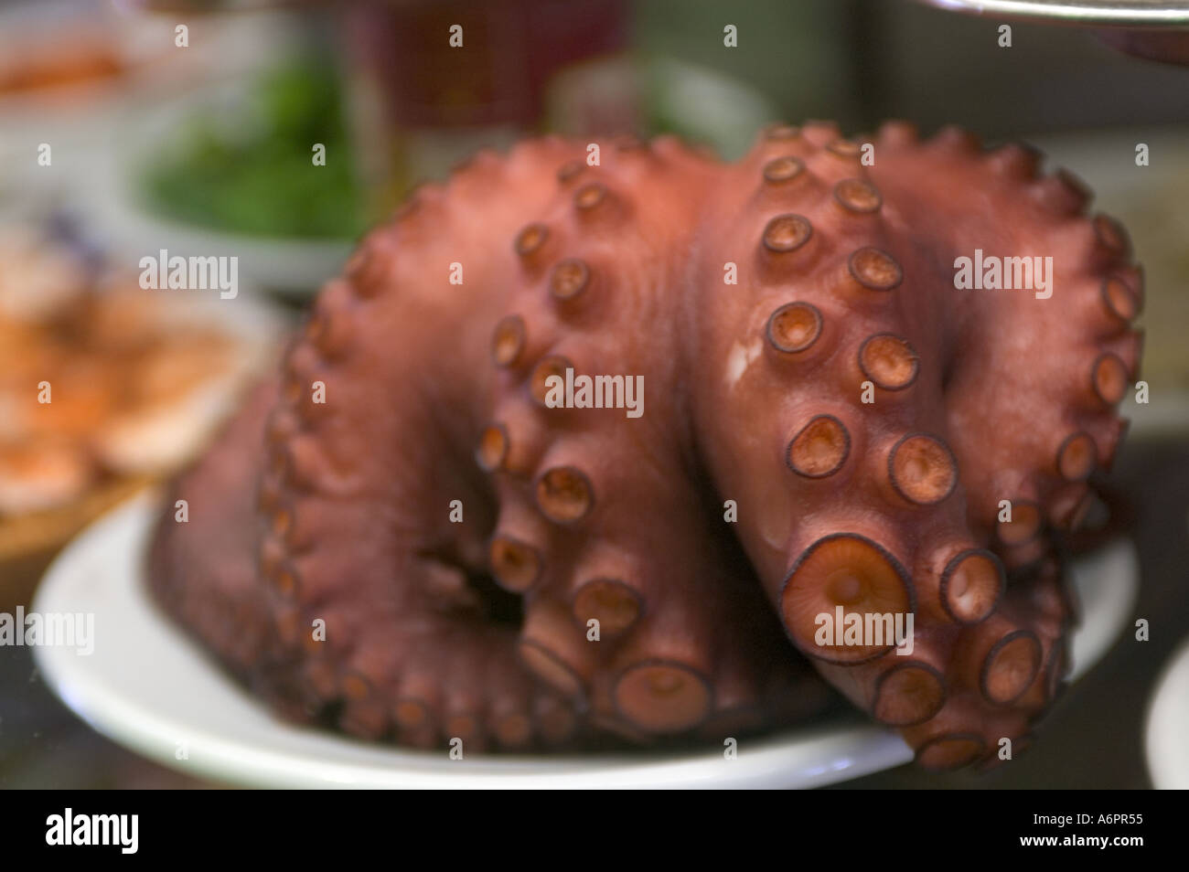 Whole octopus (pulpo) in the window of a Tapas Bar on the Plaza Mayor ...