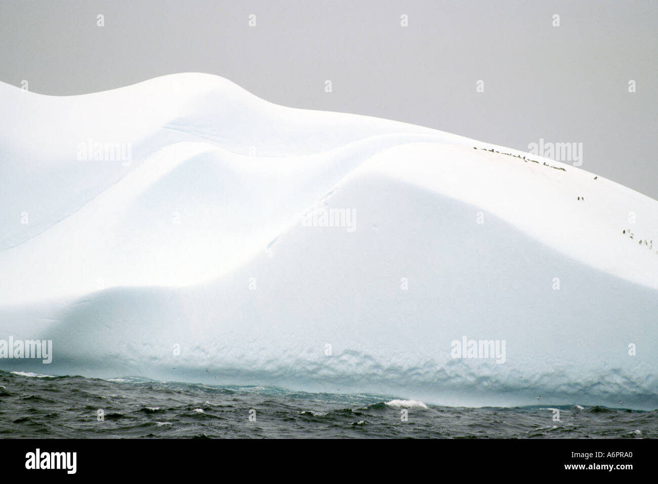 Iceberg, South Sandwich Islands, Southern Atlantic Ocean Stock Photo ...