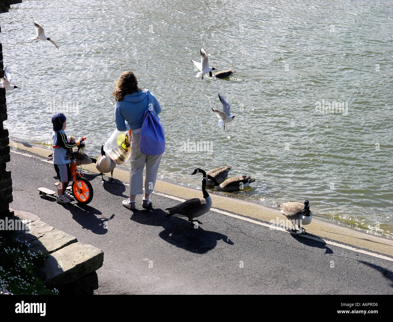 Fairhaven Lake Lytham St Annes Lancashire Stock Photo - Alamy