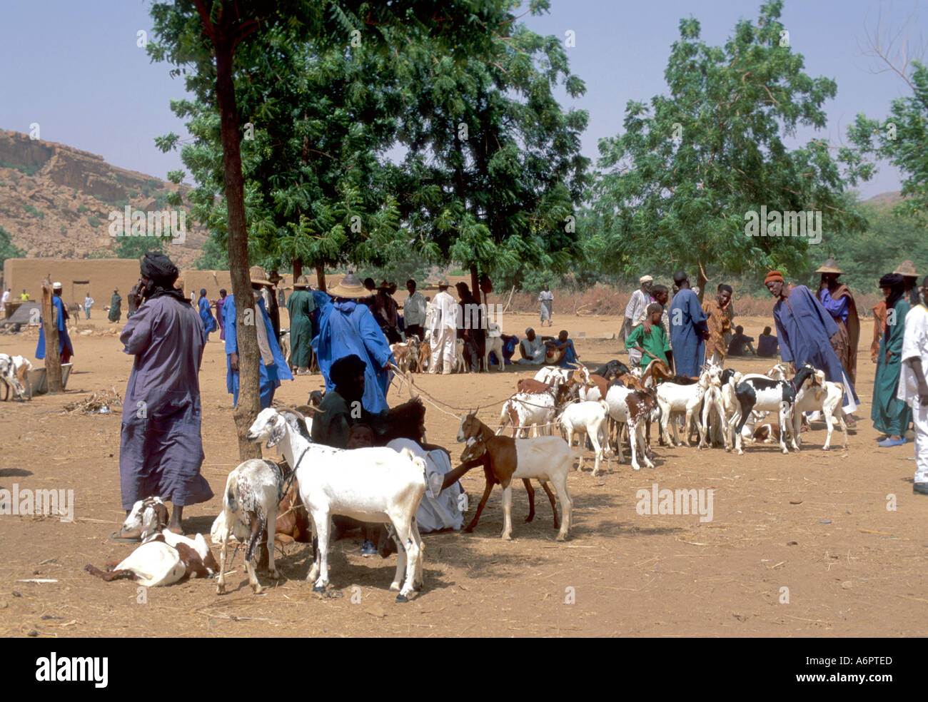 Goat market. Burkina Faso Stock Photo - Alamy